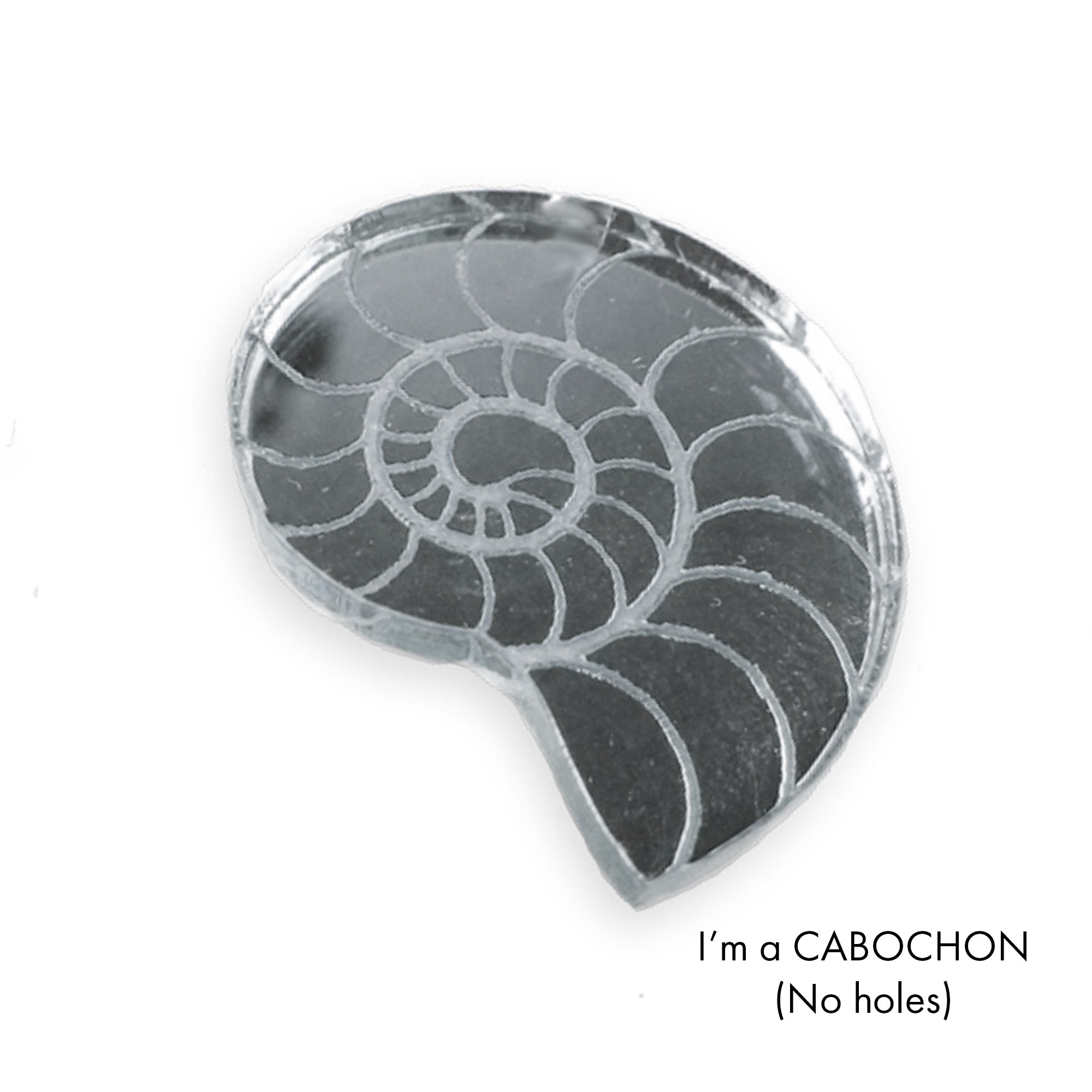 Cabochon Sea snail shell laser cut – Craftjam